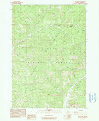 Hi-Res Interactive Map of Salt Butte, Crook County, OR in 1990 | Pastmaps